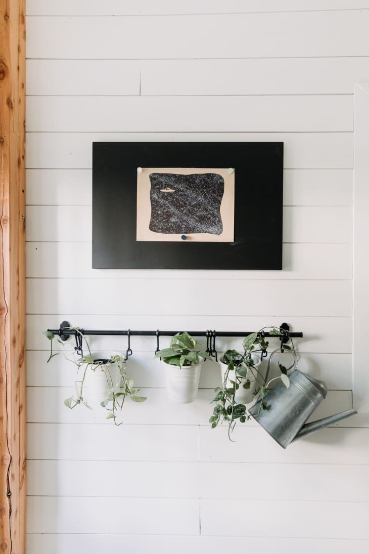 How to Display Houseplants: 100 of Our Favorite Plant-Display Ideas ...