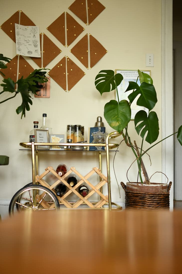 Cozy 500-Square-Foot Chicago Apartment | Apartment Therapy