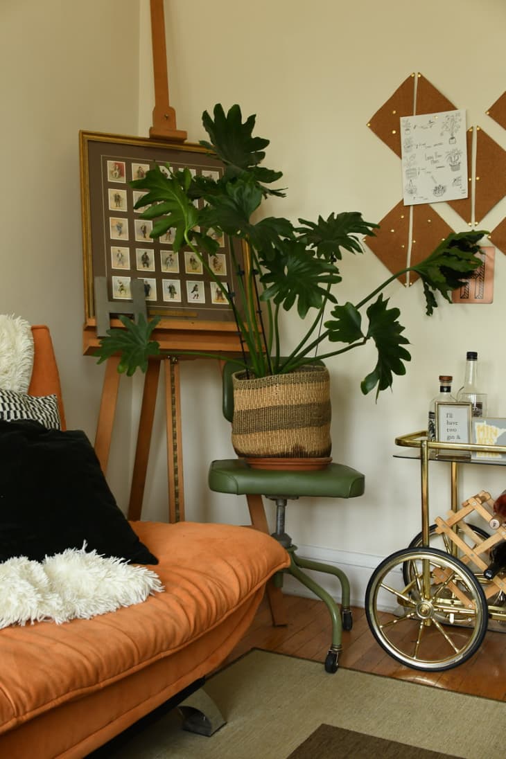 Cozy 500-Square-Foot Chicago Apartment | Apartment Therapy