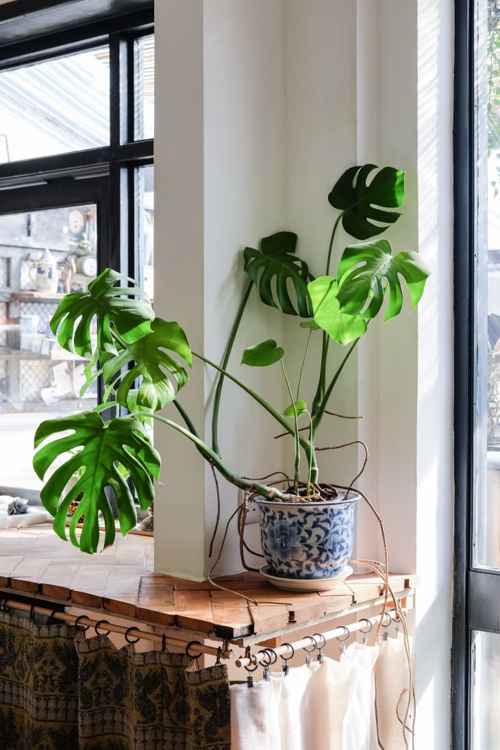 Cassie Nicholas Interior Design Masters Winner House Tour Photos ...