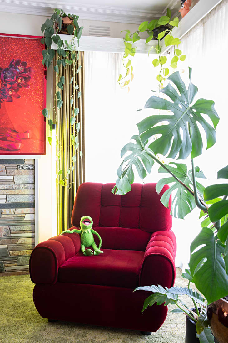 How to Display Houseplants: 100 of Our Favorite Plant-Display Ideas ...