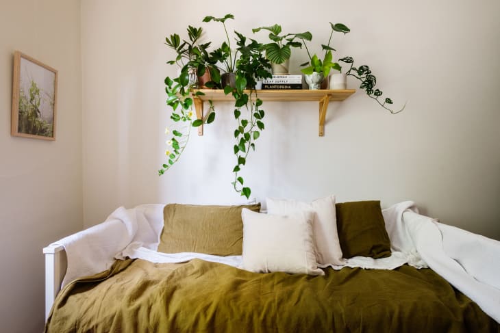 How to Display Houseplants: 100 of Our Favorite Plant-Display Ideas ...
