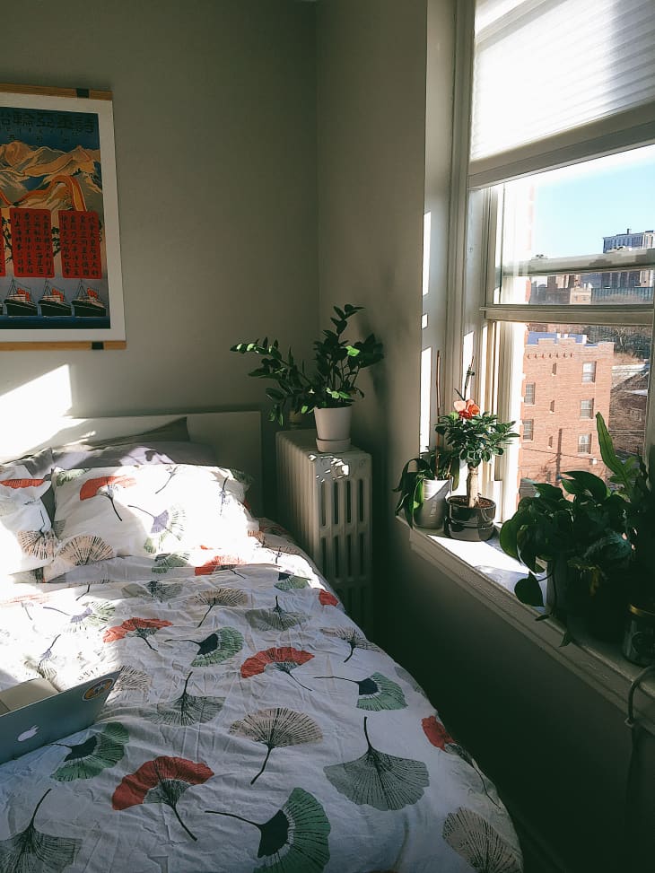 320-Square-Foot Connecticut Studio Apartment Photos | Apartment Therapy