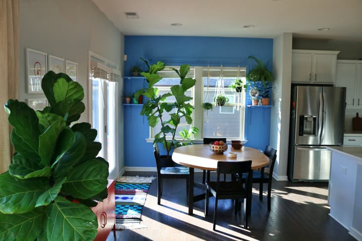 Why Is Blue the Most Popular Favorite Color? | Apartment Therapy