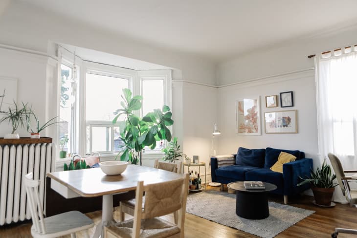 380-Square-Foot Studio Apartment Tour Photos | Apartment Therapy