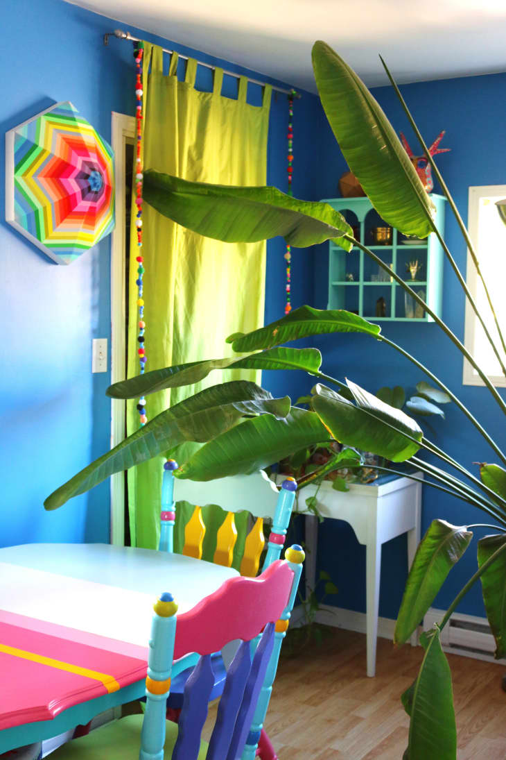 Bold, Saturated Paint Colors in an Ontario Rental Apartment | Apartment ...