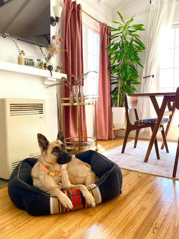 450-Square-Foot Studio with Loft Bedroom Addition | Apartment Therapy