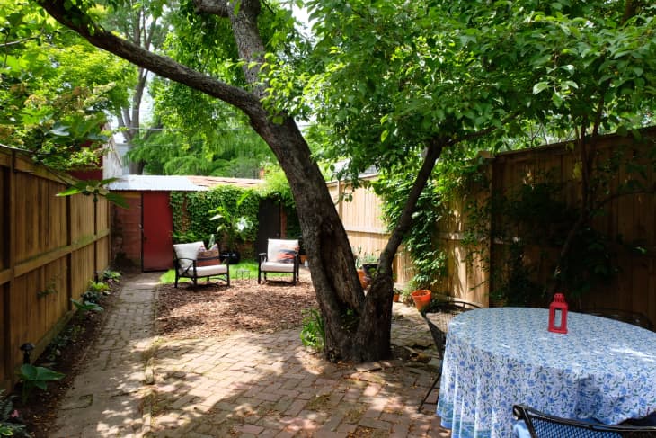 A D.C. Rowhouse Retains Its Original Charm | Apartment Therapy