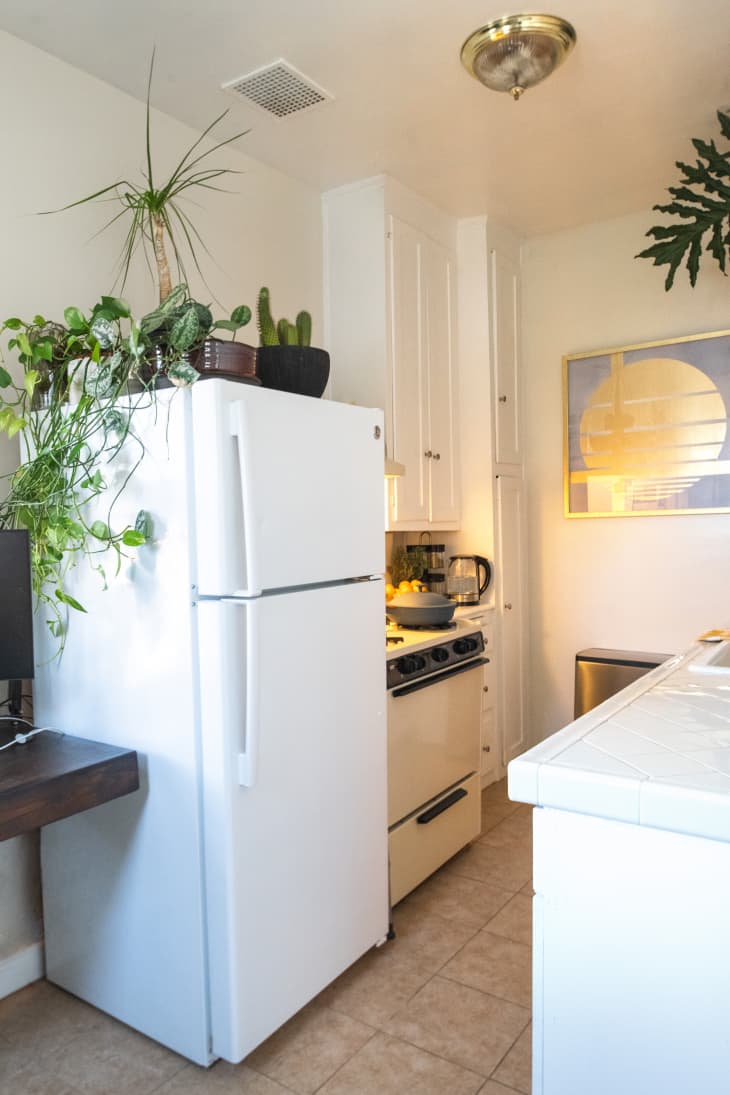 Designer's Small Los Angeles Rental Apartment | Apartment Therapy