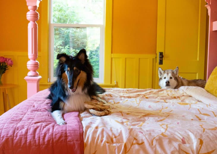 Rainbow Painted Seattle House Tour Photos | Apartment Therapy