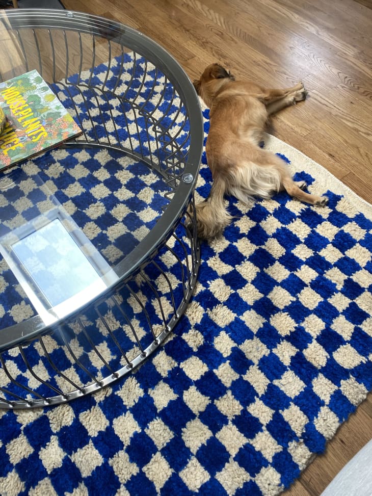 Small LA Rental with Blue Checkered Rug | Apartment Therapy