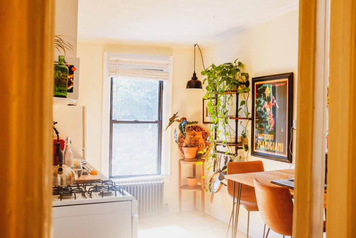 420 Square Foot Williamsburg Rental Apartment | Apartment Therapy