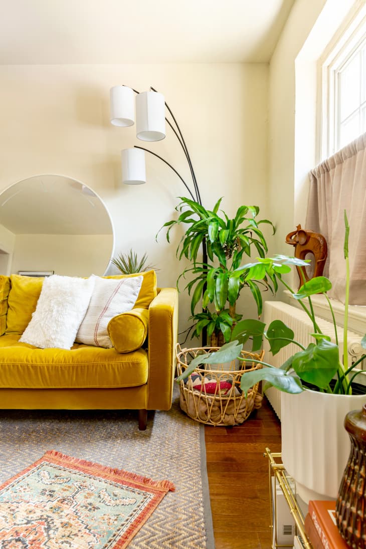 32 Practical Tips for Anyone Decorating Their First Apartment ...