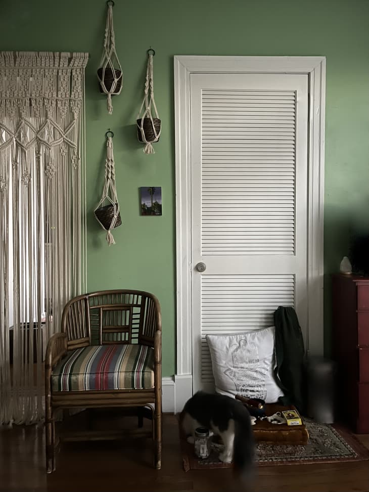 500-Square-Foot Nashville Studio With Green Walls | Apartment Therapy