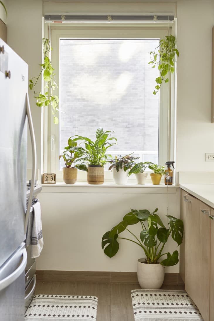 10 Charming Kitchen Window Ideas to Brighten Your Space | The Kitchn