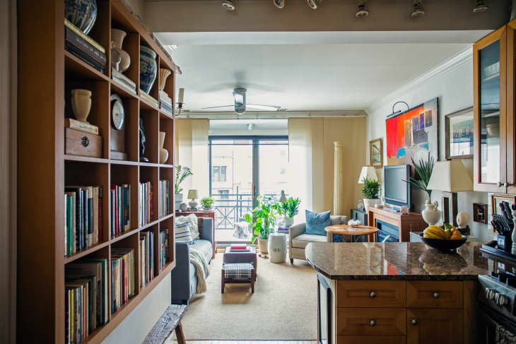 450-Square-Foot Chicago Condo Tour Photos | Apartment Therapy