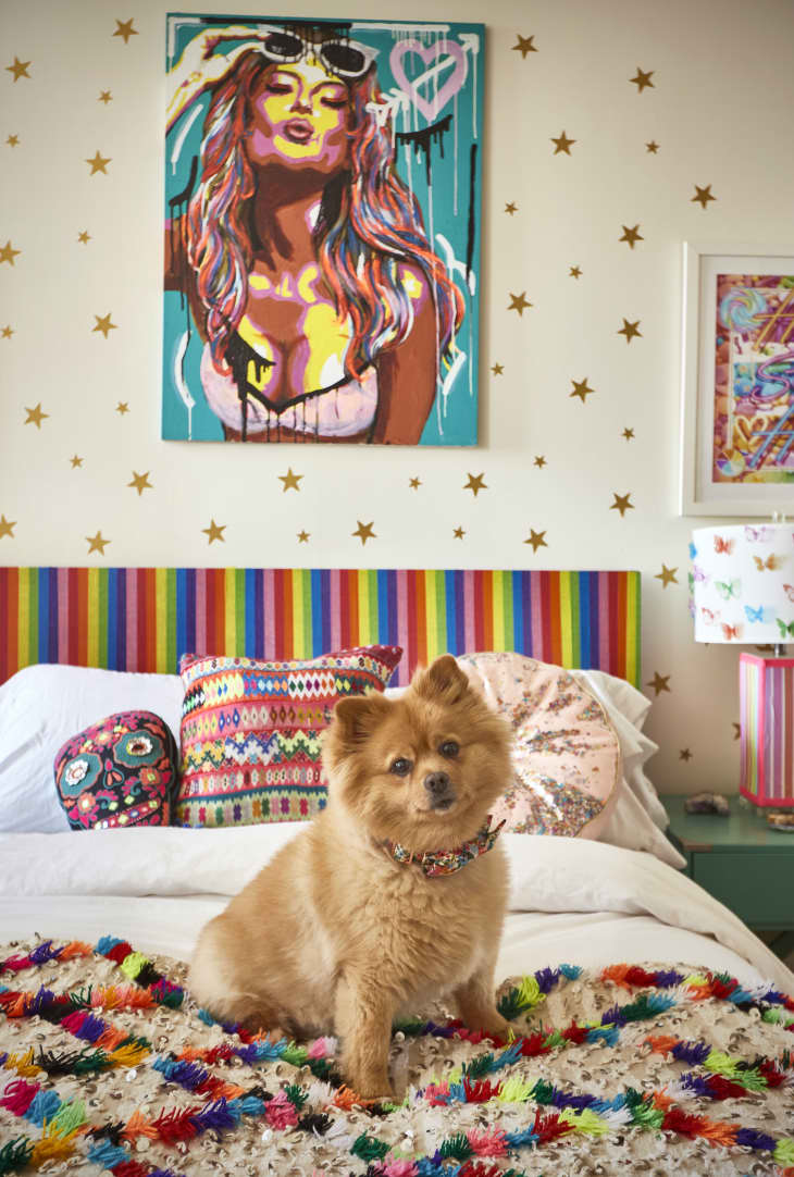 Just 18 Ridiculously Cute Pets We Saw in House Tours This Year ...