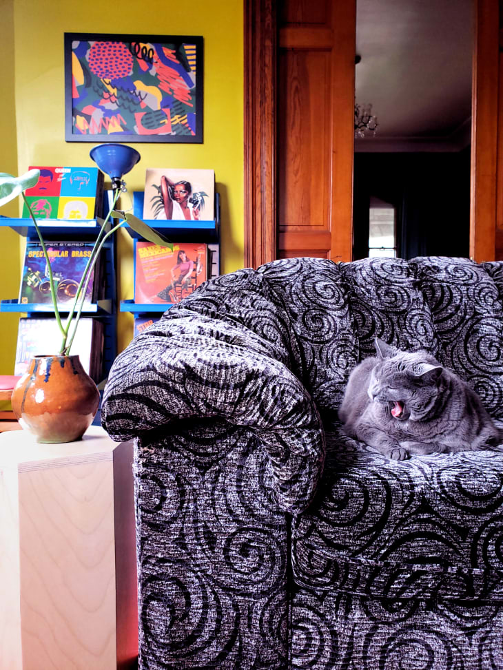 Colorful Cincinnati Apartment Tour Photos | Apartment Therapy