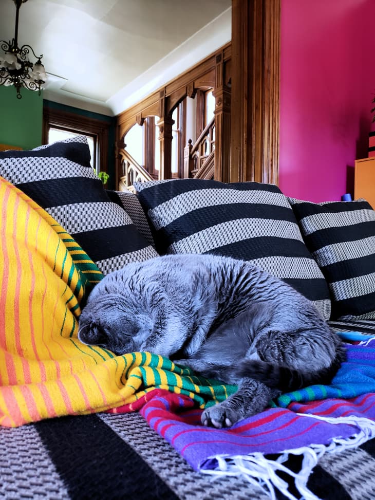 Colorful Cincinnati Apartment Tour Photos | Apartment Therapy