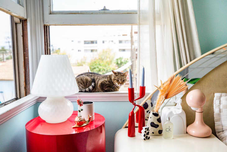 Just 18 Ridiculously Cute Pets We Saw in House Tours This Year ...