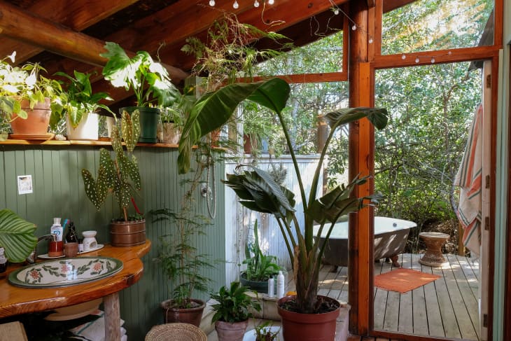 How to Display Houseplants: 100 of Our Favorite Plant-Display Ideas ...