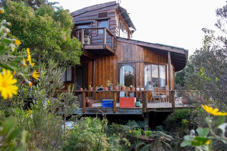South African Wood Cabin on Stilts With Grass Roof | Apartment Therapy