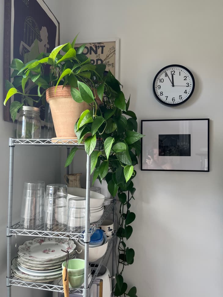 325-Square-Foot Brooklyn Apartment Photos | Apartment Therapy