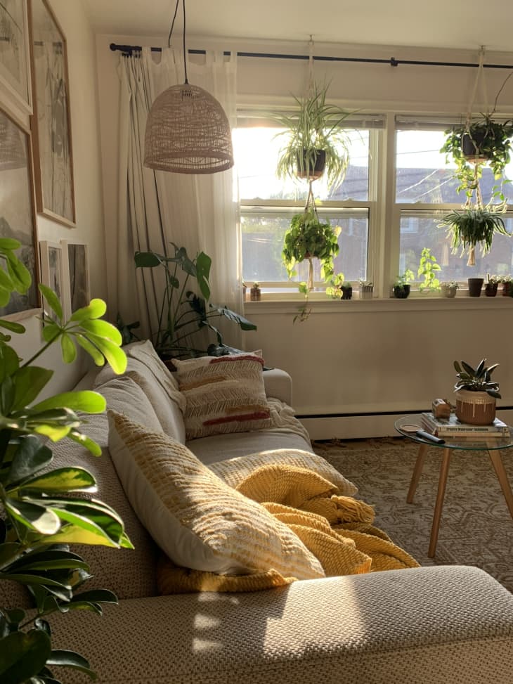 400-Square-Foot Ontario Rental Apartment Photos | Apartment Therapy