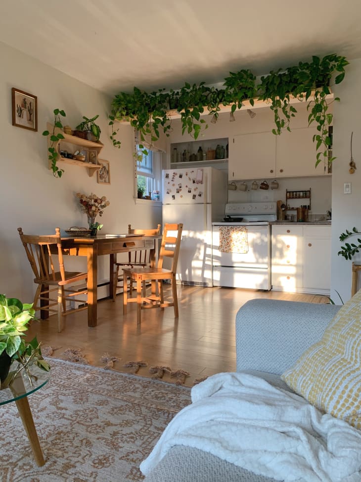 Plant Display Option for Small Spaces | Apartment Therapy