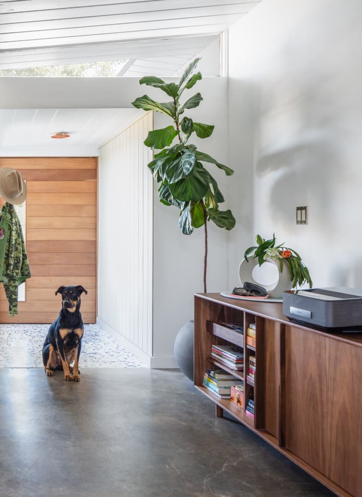 Mid-Century Modern House DIY Remodel Photos | Apartment Therapy