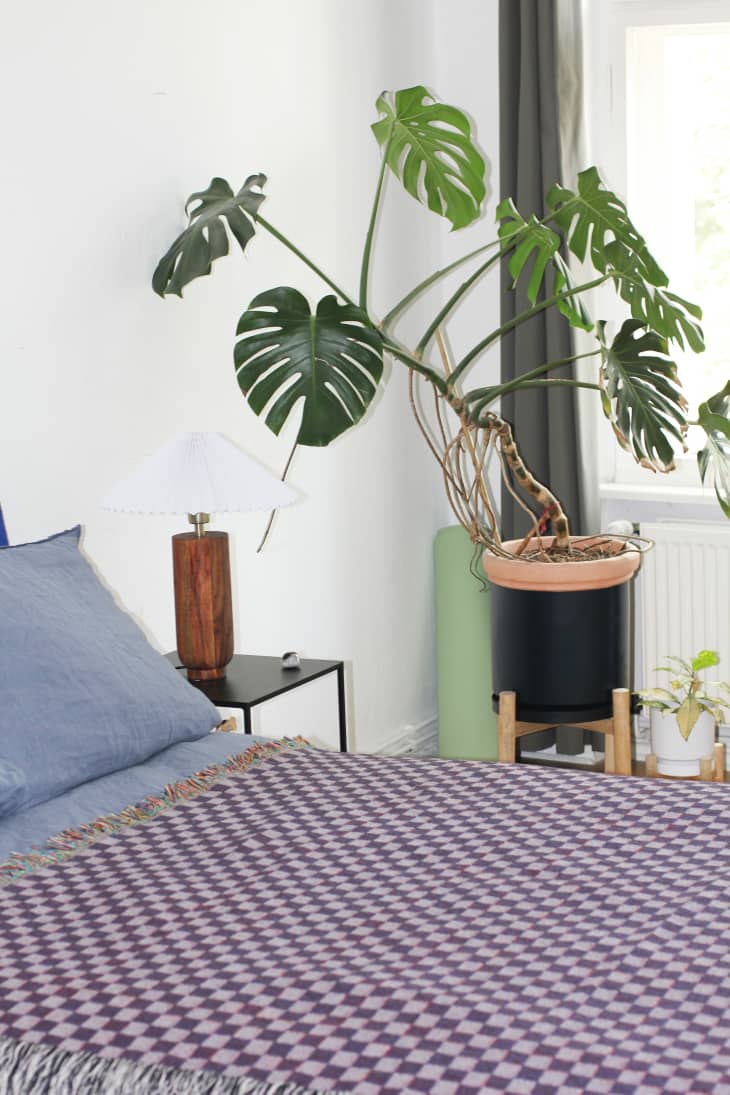 635-Square-Foot Berlin Rental Apartment | Apartment Therapy