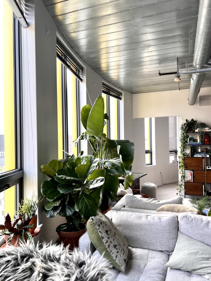 Light- and Plant-Filled Semi Circle-Shaped Rental Apartment | Apartment ...