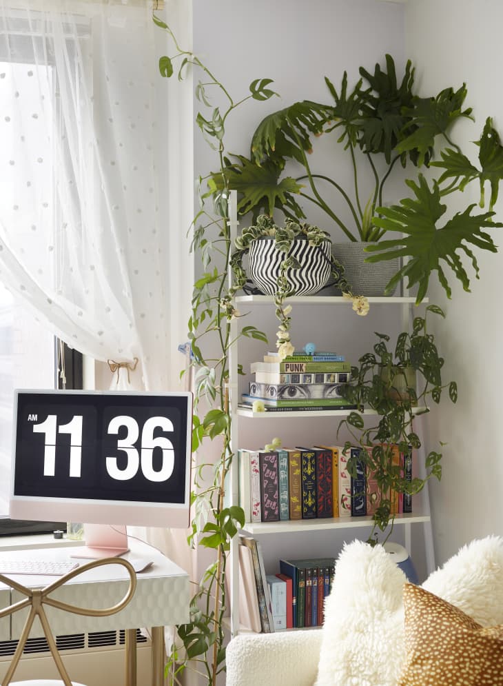 528-Square-Foot NYC Studio Apartment Tour Photos | Apartment Therapy