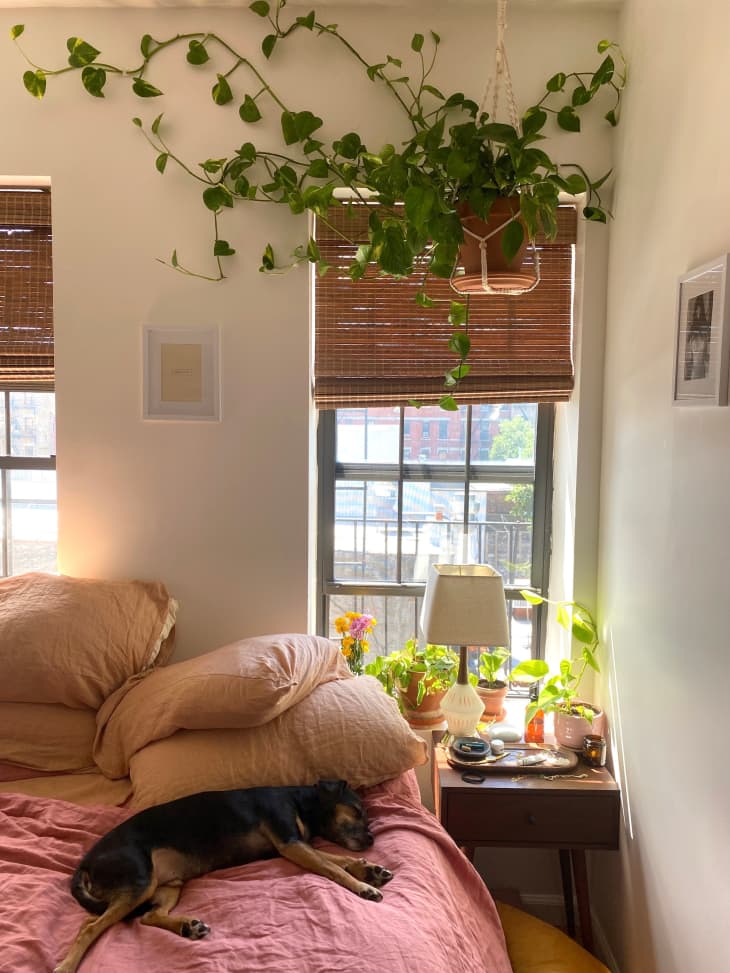 750-Square-Foot $2,900-a-Month Brooklyn Rental - Home Tour and Photos ...