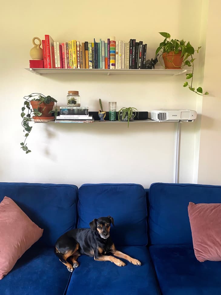 750-Square-Foot $2,900-a-Month Brooklyn Rental - Home Tour and Photos ...