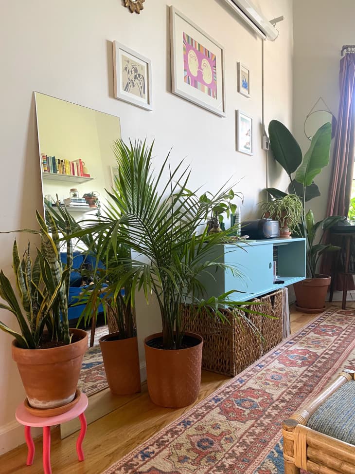 750-Square-Foot $2,900-a-Month Brooklyn Rental - Home Tour and Photos ...