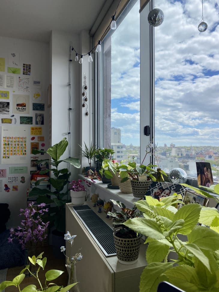 Brooklyn Rental Studio Apartment Tour Photos | Apartment Therapy