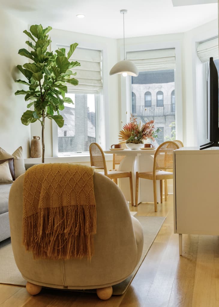 Tour an Organic Minimal Brooklyn Condo Inspired by West Africa ...