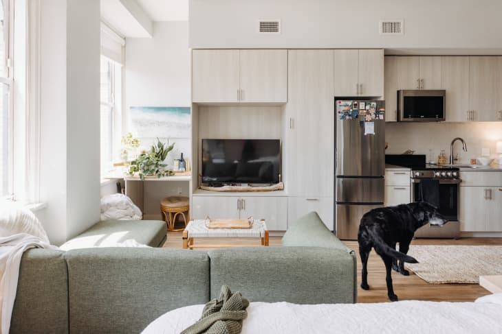 A Studio Feels Bigger Thanks to the Renter’s Skillful Layout ...