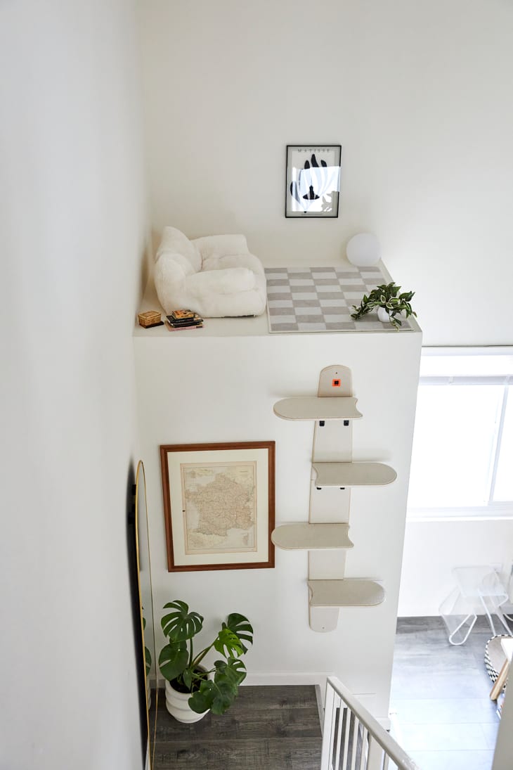 See Inside This Viral LA Rental Apartment With DIY Cat Loft | Apartment ...
