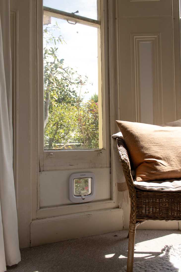 This Cat Door Method Is Renter-Friendly and So Genius | Apartment Therapy