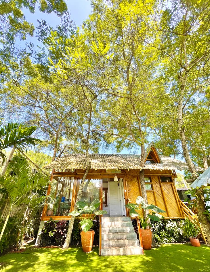 See Inside a Treehouse-Like Cabin in Ecuador | Apartment Therapy
