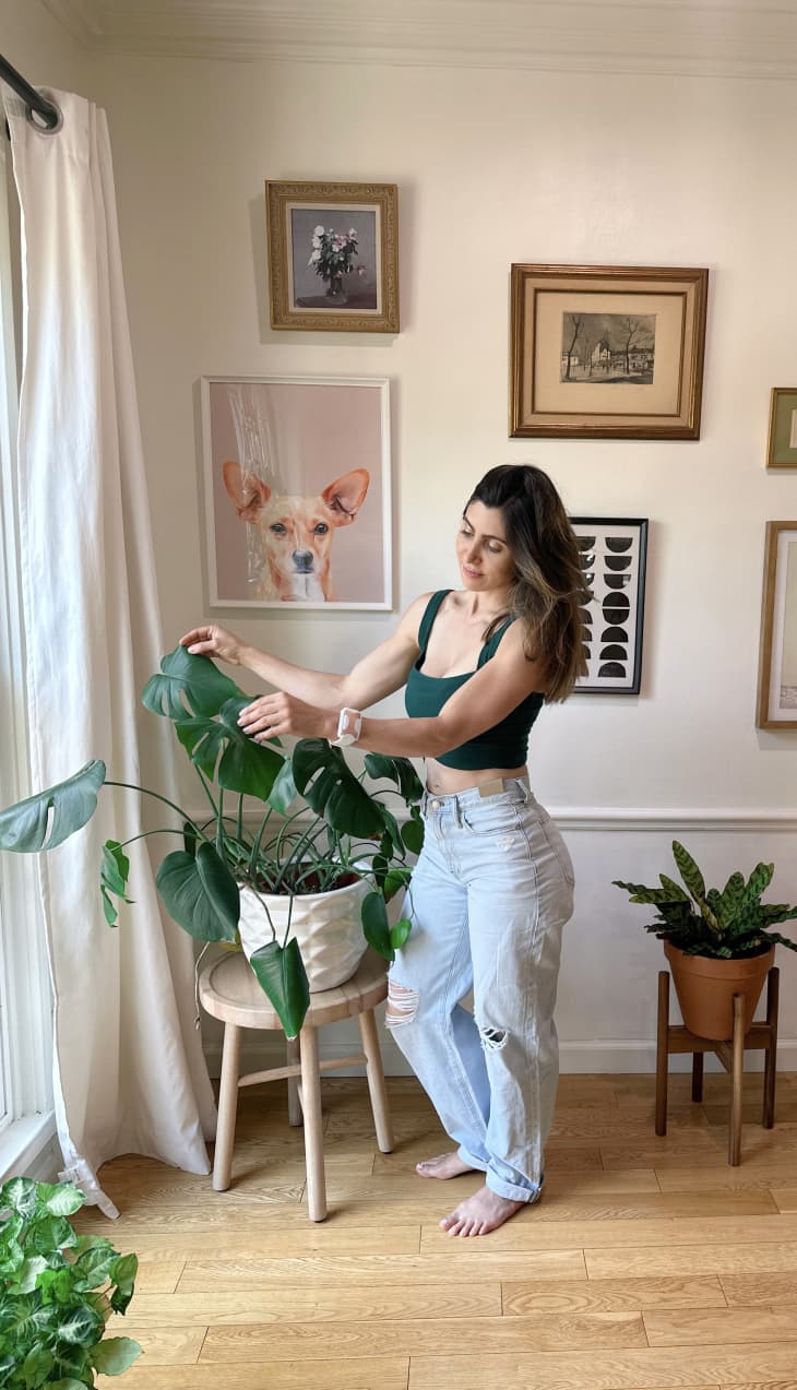 See Inside a Nutritionist's Sunny LA Rental Apartment | Apartment Therapy