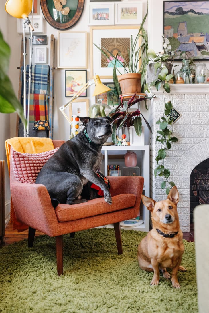 See Inside This Vintage Store Owner's Philadelphia House | Apartment ...