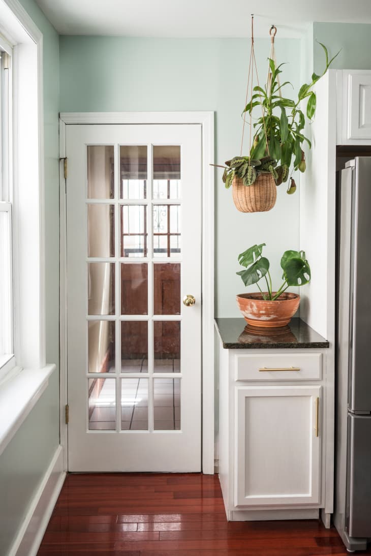 5 Tips for Adding Plants to Your Kitchen Design | The Kitchn
