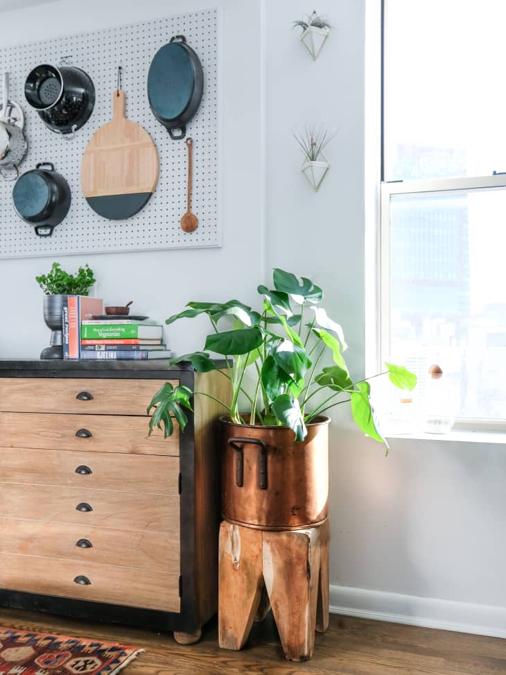 How to Display Houseplants: 100 of Our Favorite Plant-Display Ideas ...