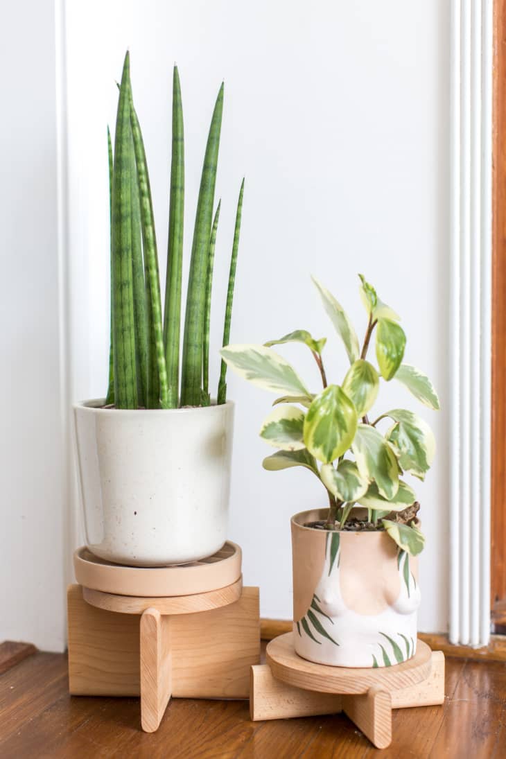 How to Display Houseplants: 100 of Our Favorite Plant-Display Ideas ...