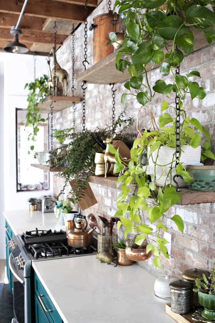 Boho Kitchen With Lots of Plants | The Kitchn