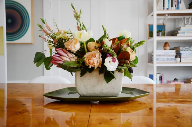 6 Quick-to-Learn Hobbies You Can Pick Up in 30 Days | Apartment Therapy