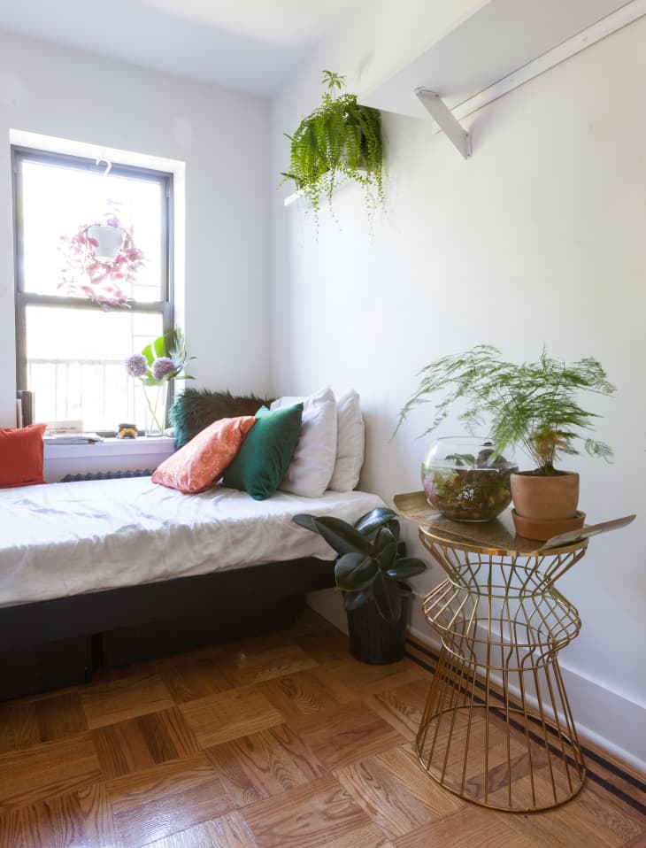 How to Display Houseplants: 100 of Our Favorite Plant-Display Ideas ...